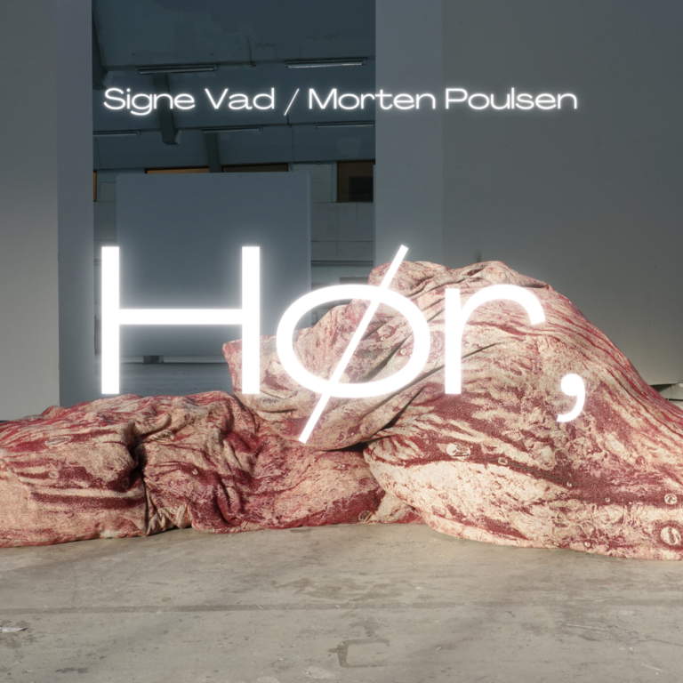 Udstillinger - XM3 - rum for samtidskunst